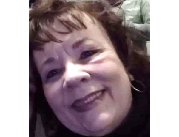 Dawn Louise Fredricks Obituary (2023) - Macomb Township, MI - Lee ...