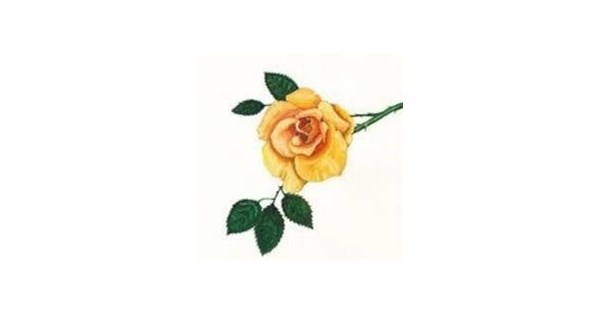 Mrs. Edna Rose Langston Obituary (2025) - Bogalusa, LA - Brown-McGehee ...