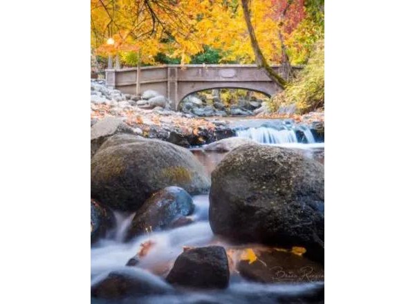 Lori Brady Obituary (1964 - 2025) - Ashland, OR - KDRV