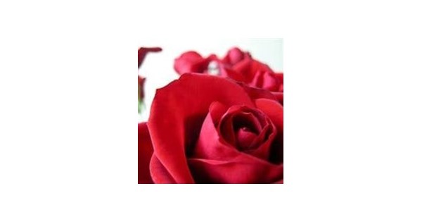 Nina Simone Cartwright Obituary (2025) - Waynesville, MO - Memorial ...