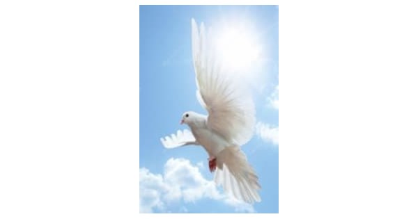 Chester Hayes Obituary (2026) - East Point, GA - Gus Thornhill's ...