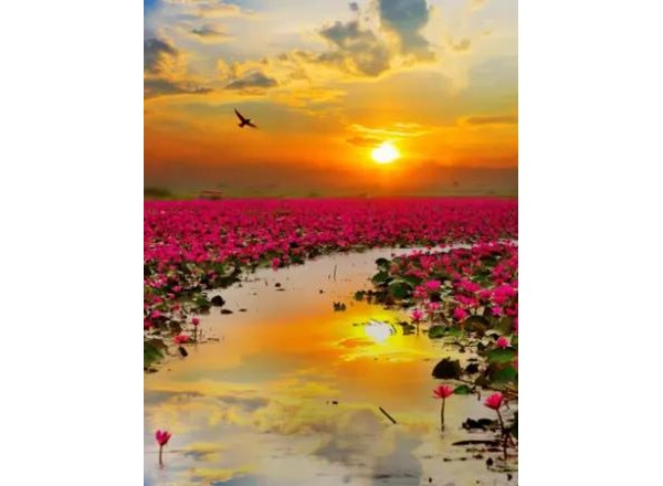 Louisa Anne Burton Obituary (2025) - Anderson, SC - The McDougald ...