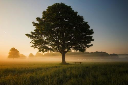 Anna Mae Barrows Obituary and Online Memorial (2026)