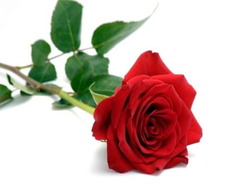 Caleb Smith Obituary (2026) - Jacksonville, FL - Sarah L. Carter's ...