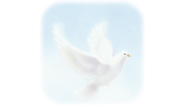Kenneth Martish Obituary (1946 - 2026) - Mitchell, SD - Mitchell Now