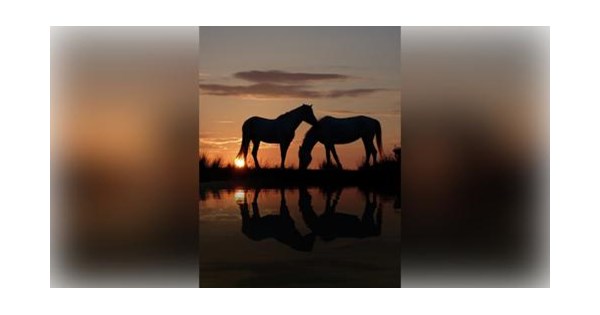 Terry L. Dunn Obituary (2023) - Litchfield, MI - VanHorn-Eagle Funeral ...