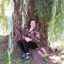 Julie L Scoville Obituary (2024) - Beloit, WI - Brian Mark and Rosman ...