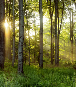 Travis Eads Obituary and Online Memorial (2026)