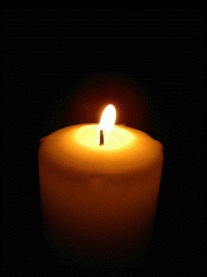 Steven R. Nelson Obituary (2026) - Rochester, MN - KIMT