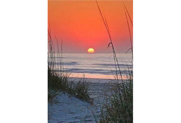 Dawn Lee Amen Obituary (2023) - Morehead City, NC - Munden Funeral Home ...