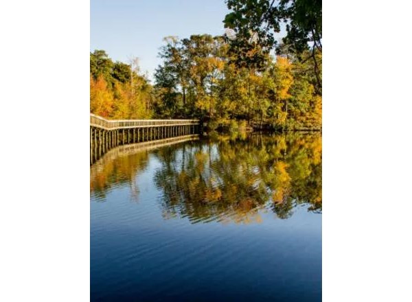 Harvey Melvin Ferguson Obituary (2025) - Tampa, FL - Scrivens Johnson ...