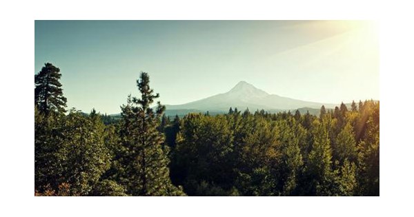 Brendon Bennett Obituary (2025) - Dallas, OR - Bollman's Tribute Center