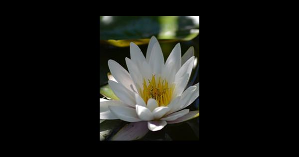 Moira Dilks Obituary and Online Memorial (2023)