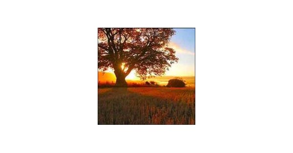 Joe Hammock Sr. Obituary (2023) - Waynesboro, GA - DeLoach-McKerley ...