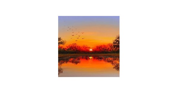 Javier Jose Vives Obituary (2023) - Leesburg, FL - Page-Theus Funeral ...