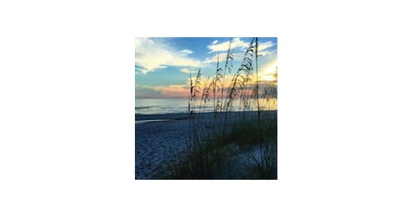 James C. "Jim" McDaniel Obituary (2023) - Tallahassee, FL - Bevis ...