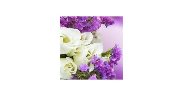 Angela Faye Hensley Obituary (2025) - New Market, TN - Fielden Funeral ...