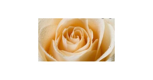 Mrs. Helen Jordan Keene Obituary (2025) - Newport News, VA - C. C ...