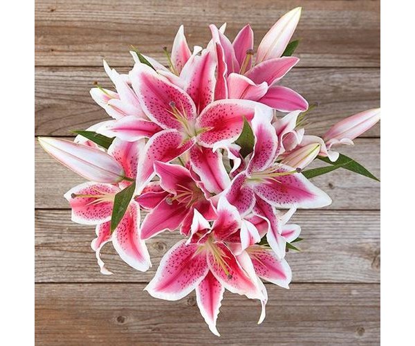 Martha Hernandez-Peretti Obituary (2026) - Moxee, WA