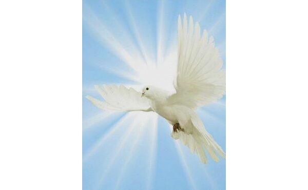 Sherry Lynn Range Obituary (2022) - Saint Paul, MN - Spielman Mortuary ...