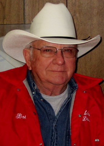 Robert "Bob" White Obituary (2024) - Delphi, IN - Shirey Funeral Home ...