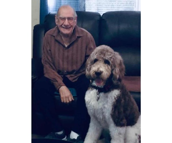 Stephen Manzi Obituary (2026) - Inverness, FL