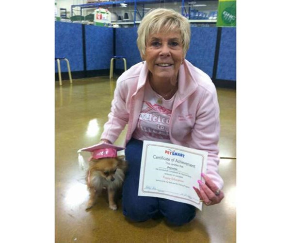 Judy Hahn Trowbridge Obituary (2025) - Bakersfield, CA