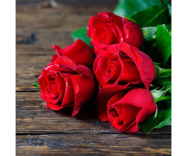 Sharon Toma Obituary and Online Memorial (2026)