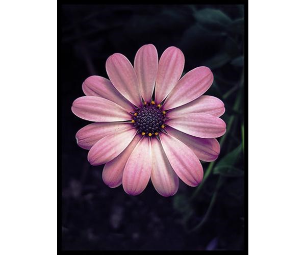 Patricia "Pat" Winters Obituary (2024) - Sun City, AZ - Menke Funeral ...