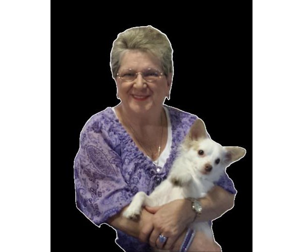 Nancy Lynn Torrence Obituary (2025) - Beavercreek, OH - Newcomer ...