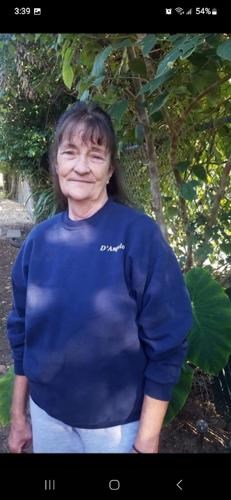 Diane Callahan Obituary and Online Memorial (2024)