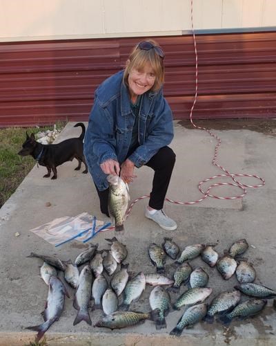 Dorothy E. Wilson Obituary (2026) - Belton, TX - Dossman Funeral Home ...