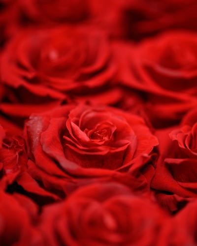 Hattie Scott Obituary (2025) - Columbia, TN - Williams Funeral Home ...