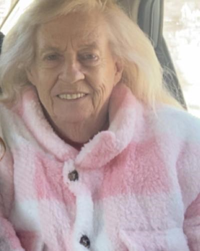 Evelyn "Louise" LaManna Obituary (2026) - Pine Plains, NY - Peck and ...