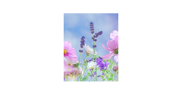 Lillian Lannette Frazier Obituary (2024) - Phenix City, AL - Vance ...
