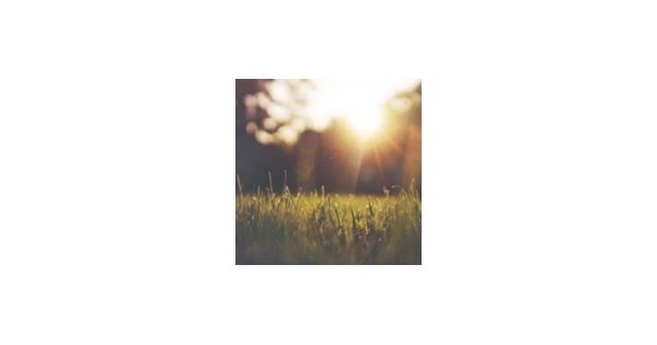 Arnold 'Arnie' Wilson Obituary (2024) - Urbandale, IA - Caldwell ...