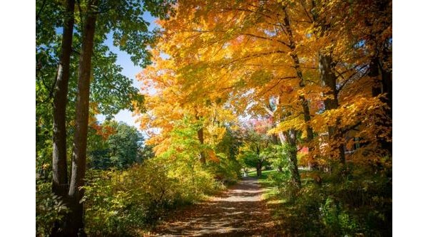 Leanne Howard Obituary and Online Memorial (2026)