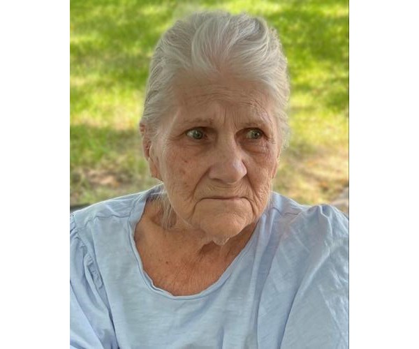 Donna Ann Eurich Obituary (2024) - Okemos, MI - W.L. Case & Company ...