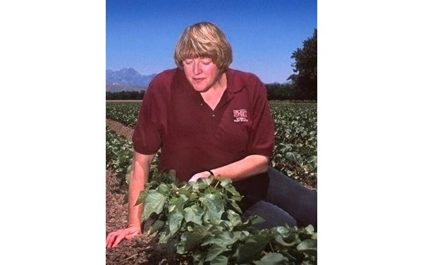 Denise Ann McWilliams Obituary (2024) - Amarillo, TX - Boxwell Brothers ...