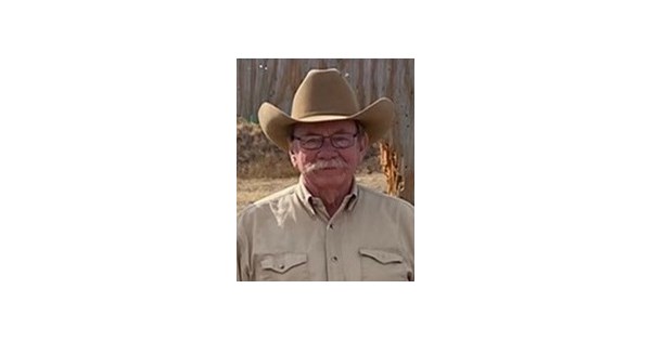 Louis Patrick Davitt Obituary (2025) - Fort Davis, TX - Mobile ...
