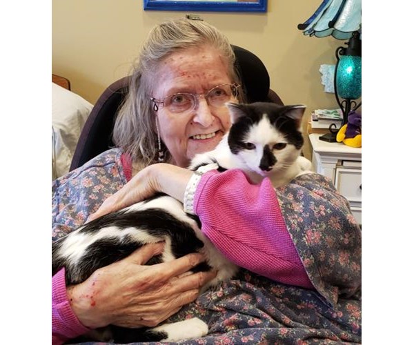 Jean Elizabeth Wulf Obituary (2025) - Stillwater, MN - Simonet Funeral Home