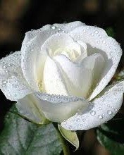Jill O'Quin '53' Obituary (2026) - Longview, TX - Bigham Mortuary