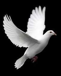 Margaret Ann Bain Obituary (2026) - Lubbock, TX - Broadway Funeral ...