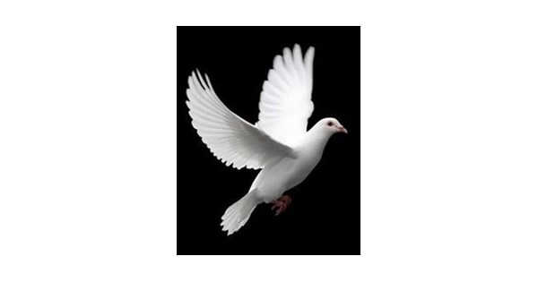 Margaret Ann Bain Obituary (2026) - Lubbock, TX - Broadway Funeral ...