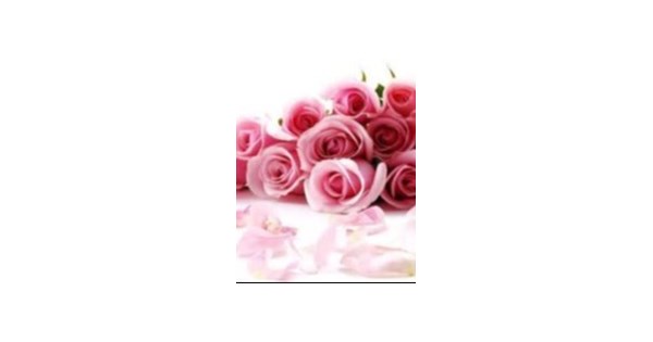 Baby Girl SARIAH HOPE SWANSON Obituary (2024) - Fort Worth, TX - Harper ...