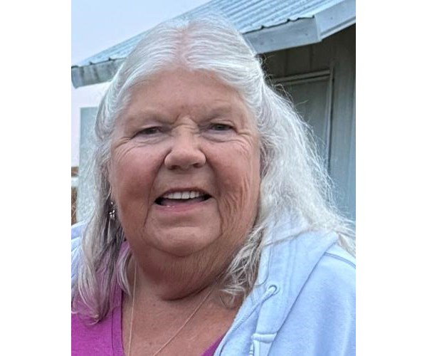 Elizabeth "Liz" Putnam Obituary (2025) - Baltimore, OH - Johnson-Smith ...