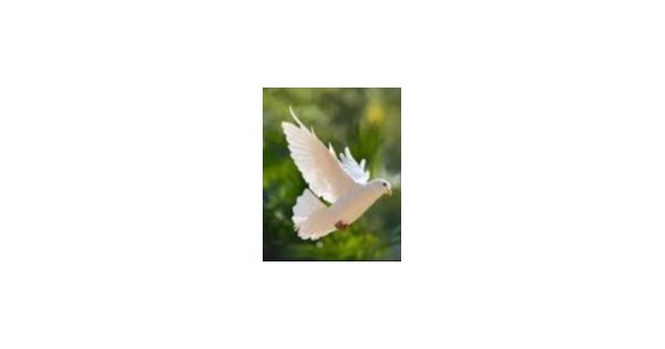 Thomas Michael "Tom" McChesney Obituary (2025) - Hagerstown, MD ...