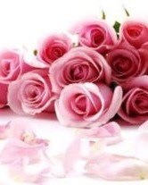 Baby Girl MAPLE MAGINOT Obituary and Online Memorial (2026)