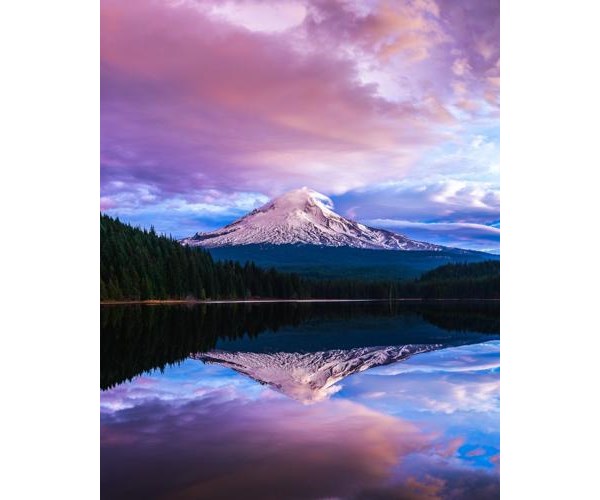 Timothy Daniel Compton Obituary (2026) - Puyallup, WA - Cremation Plus