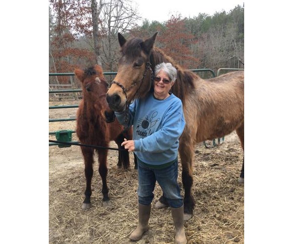 Susan Hancock Robinson Obituary (2025) - Cumming, GA - Ingram Funeral Home